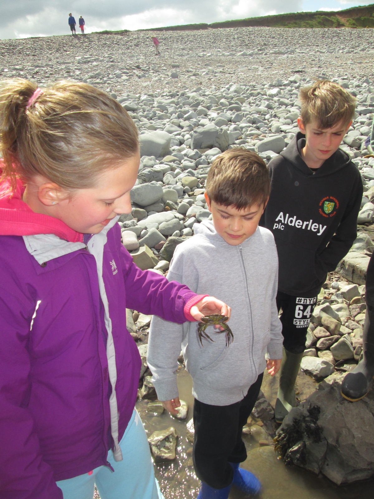 Alexander Hosea Primary School - Year 5 Residential to Kilve Court 11.5.15